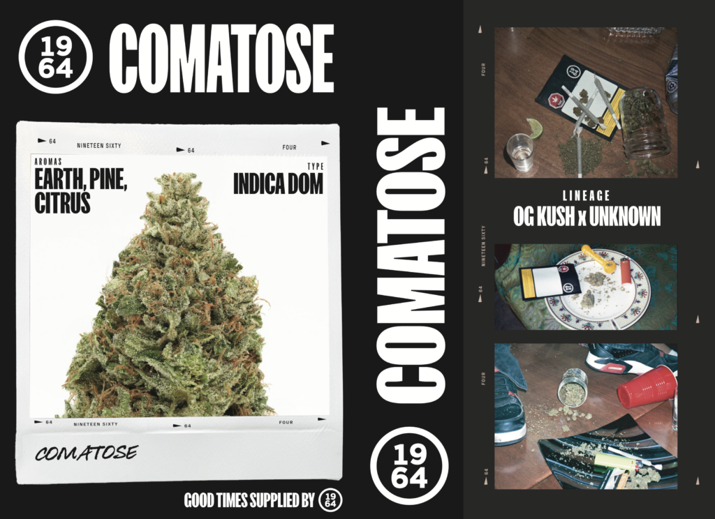 Comatose Strain by 1964 Supply Co. | High-Quality Comatose Cannabis ...