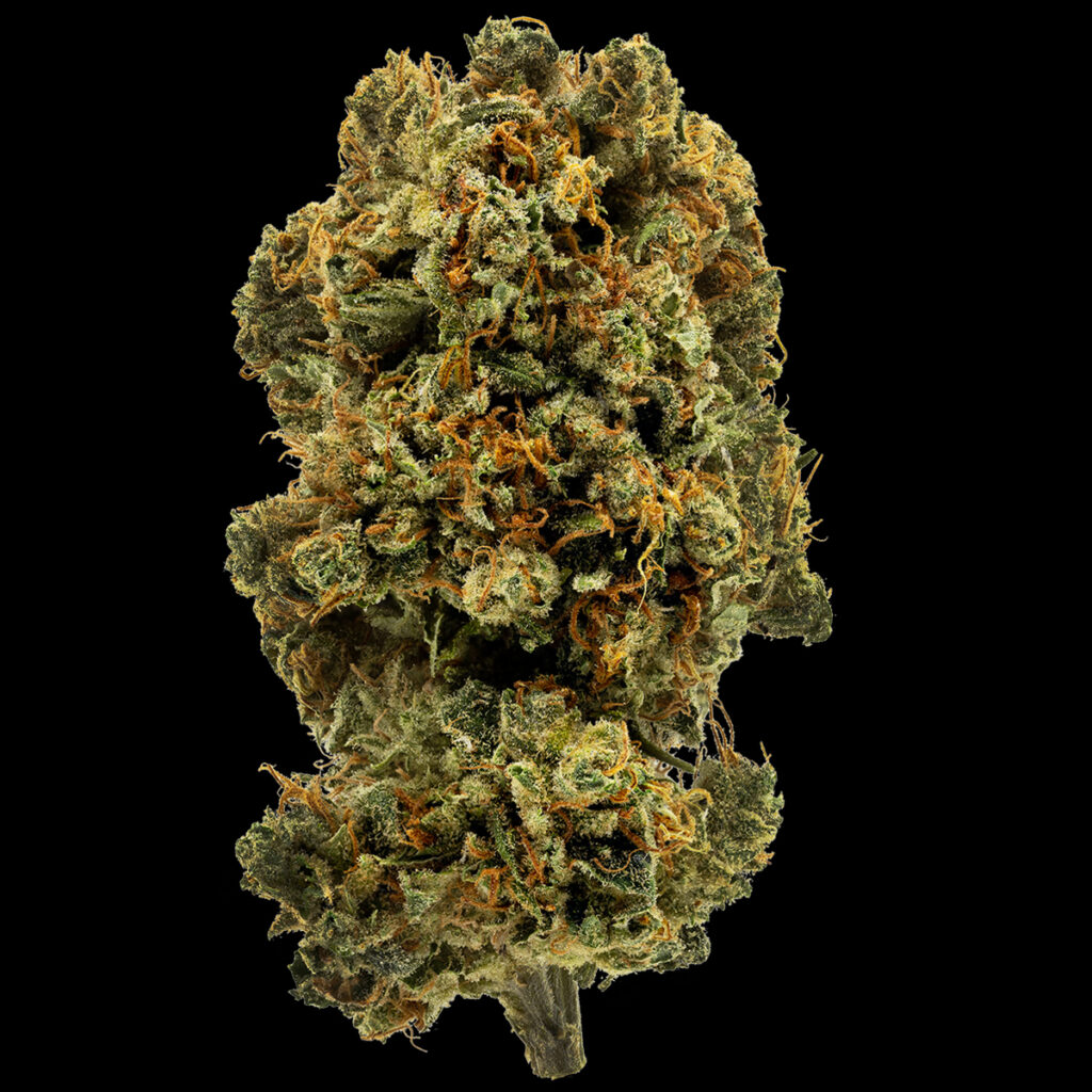 CULTIVARS - 1964 Supply Co.