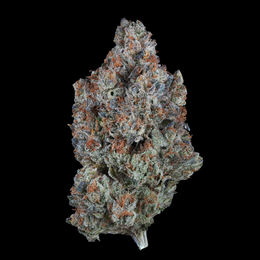 CULTIVARS - 1964 Supply Co.